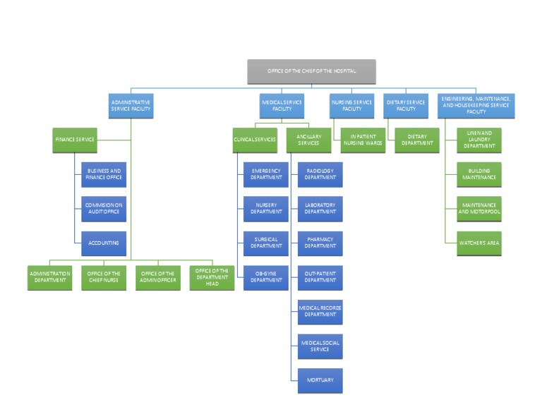 Hospital Org-Chart | PDF | Hospital | Health Sciences