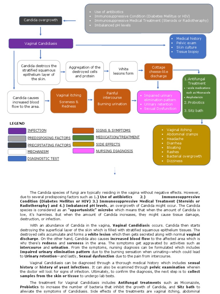 Pathophysiology NG Candidiasis | PDF | Candidiasis | Vagina