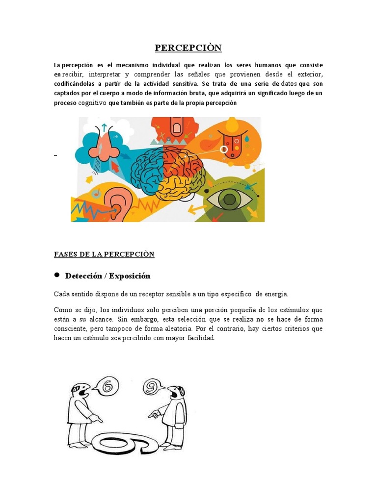 Fases de La Percepcion | PDF