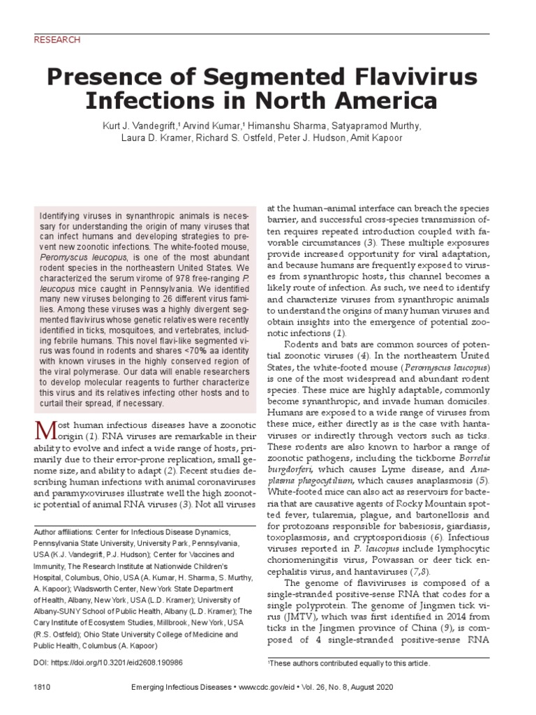 Presence of Segmented | PDF | Dna Sequencing | Virus