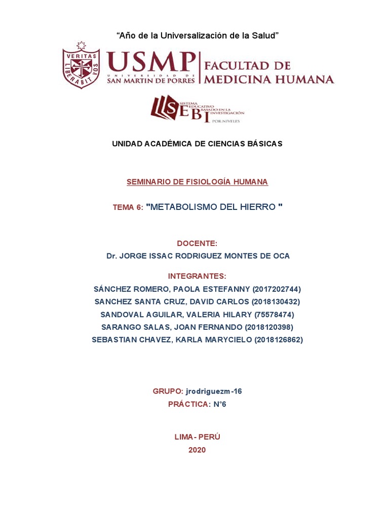 Informe 6 METABOLISMO DEL HIERRO Farmaco | PDF | Relaciones personales ...