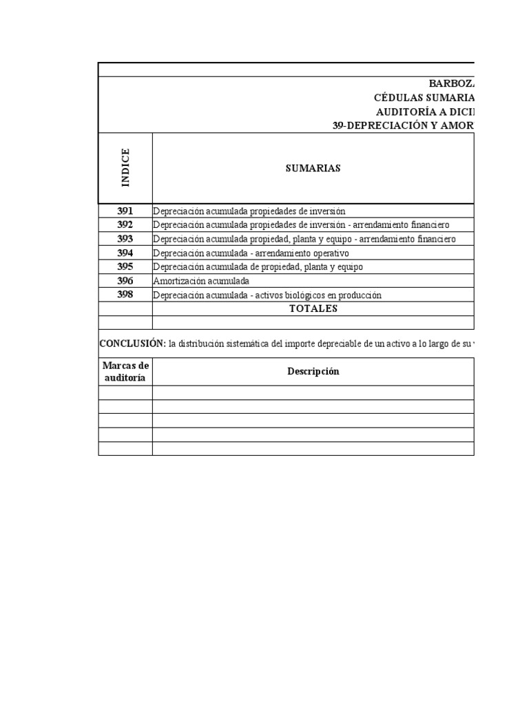 Cédula Sumaria-Cuenta 39 | PDF | Depreciación | Hoja de balance