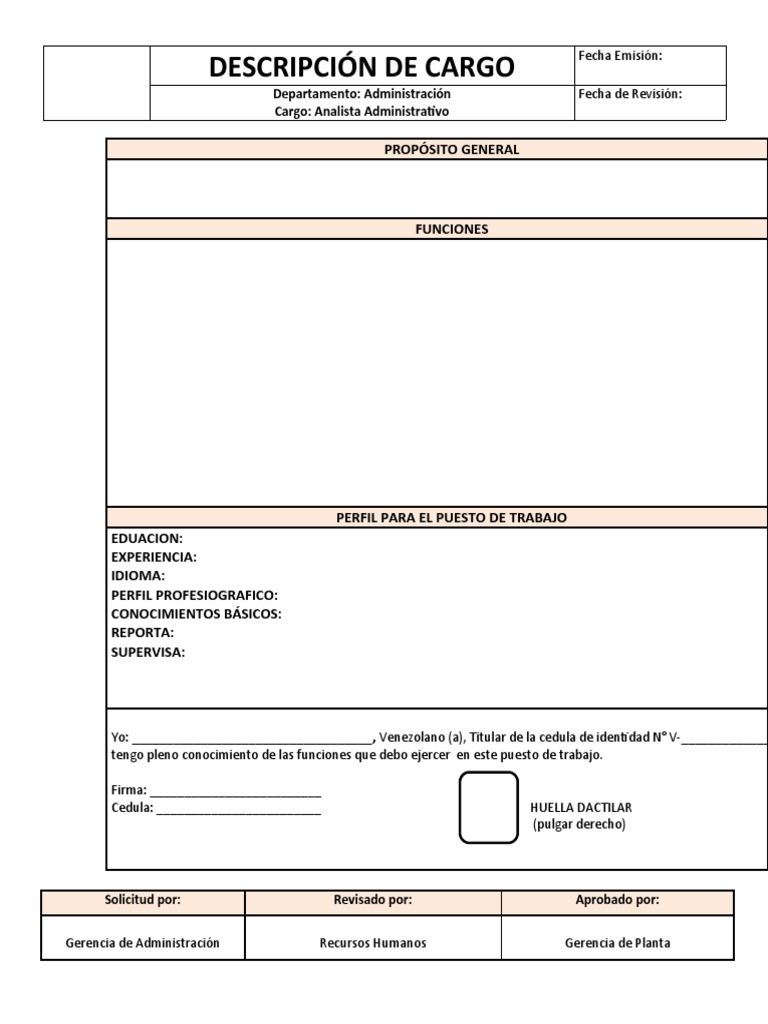 Formato Descripcion de Cargo | PDF