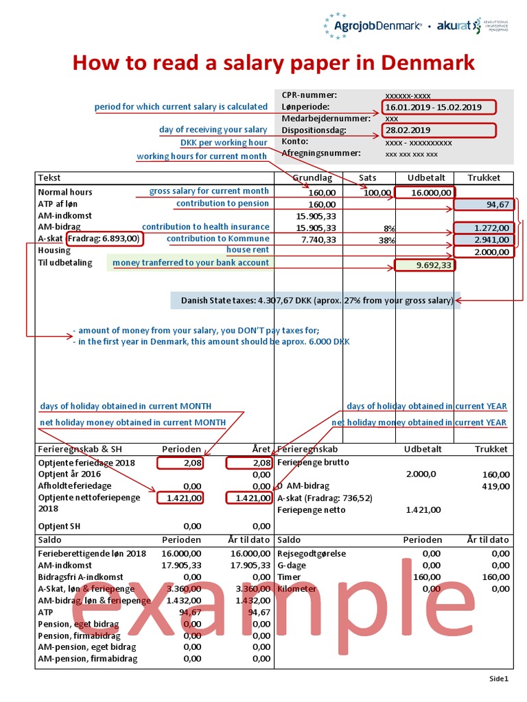 How To Read A Salary Paper in Denmark: Tekst Grundlag Sats Udbetalt ...