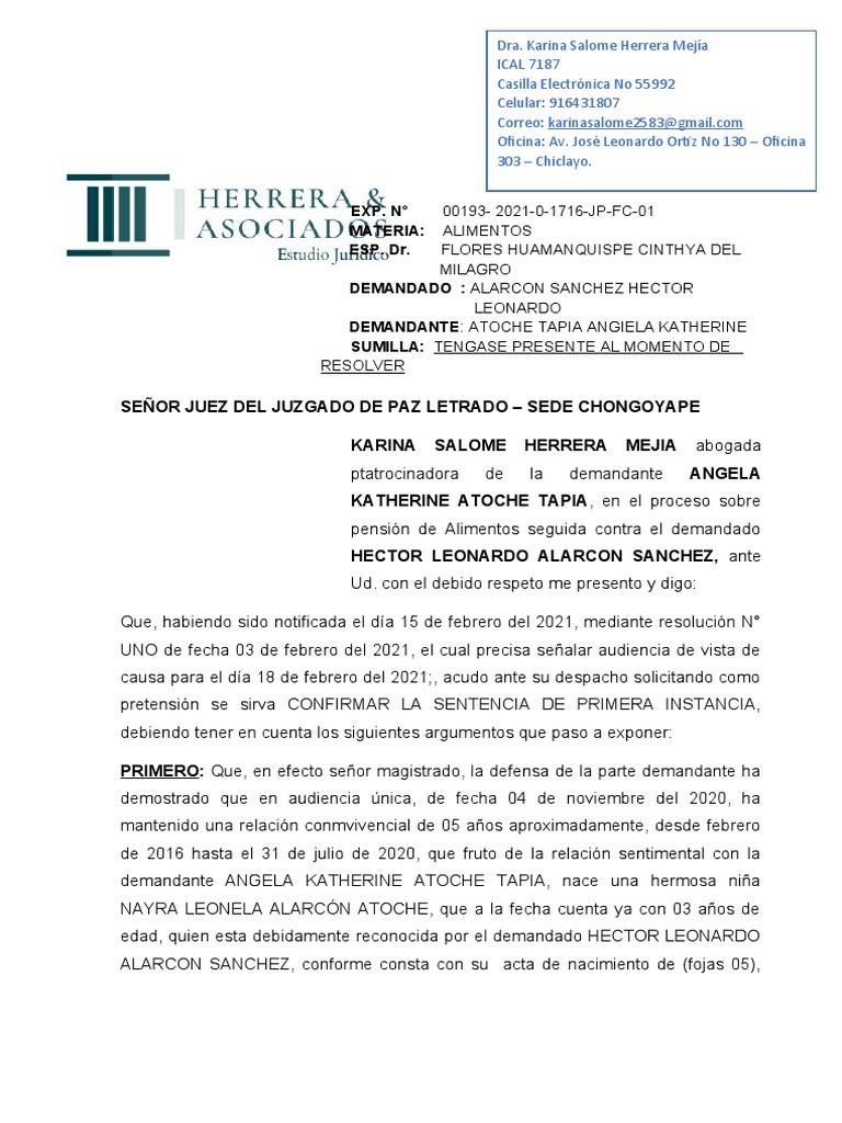 Vista de La Causa - Informe Oral - Angela Tapia Atoche | PDF | Pensión ...