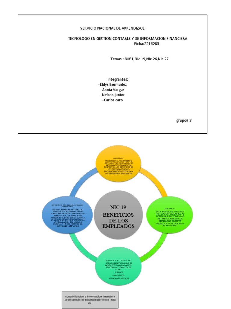 MAPA CONCEPTUAL Nic 19, Nic 26, Nic27 | PDF | normas internacionales de ...