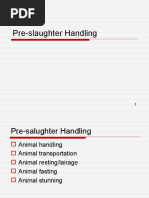 Poultry Carcass Dressing Procedure | PDF