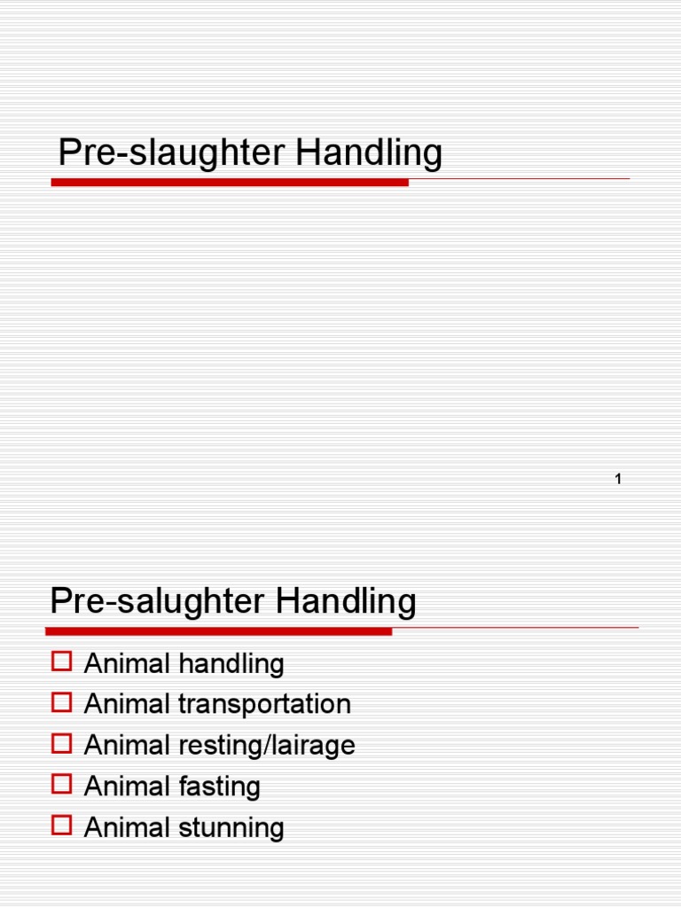 Week01 Pre-Slaughter Handling | PDF | Animal Slaughter | Slaughterhouse