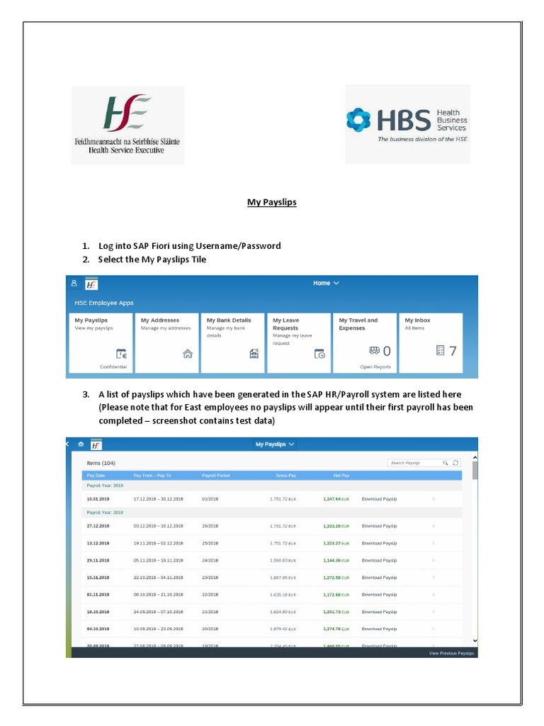 My Payslip Access | PDF