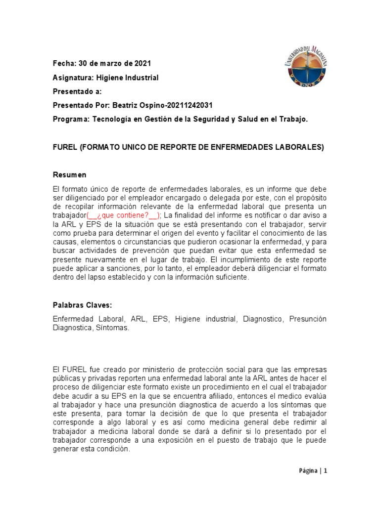 FUREL | PDF | Seguridad y salud ocupacional | Medicina