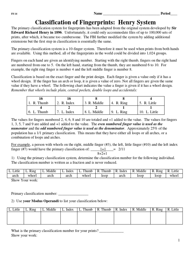 Henry System of Classification 14 | PDF | Hand | Fingerprint