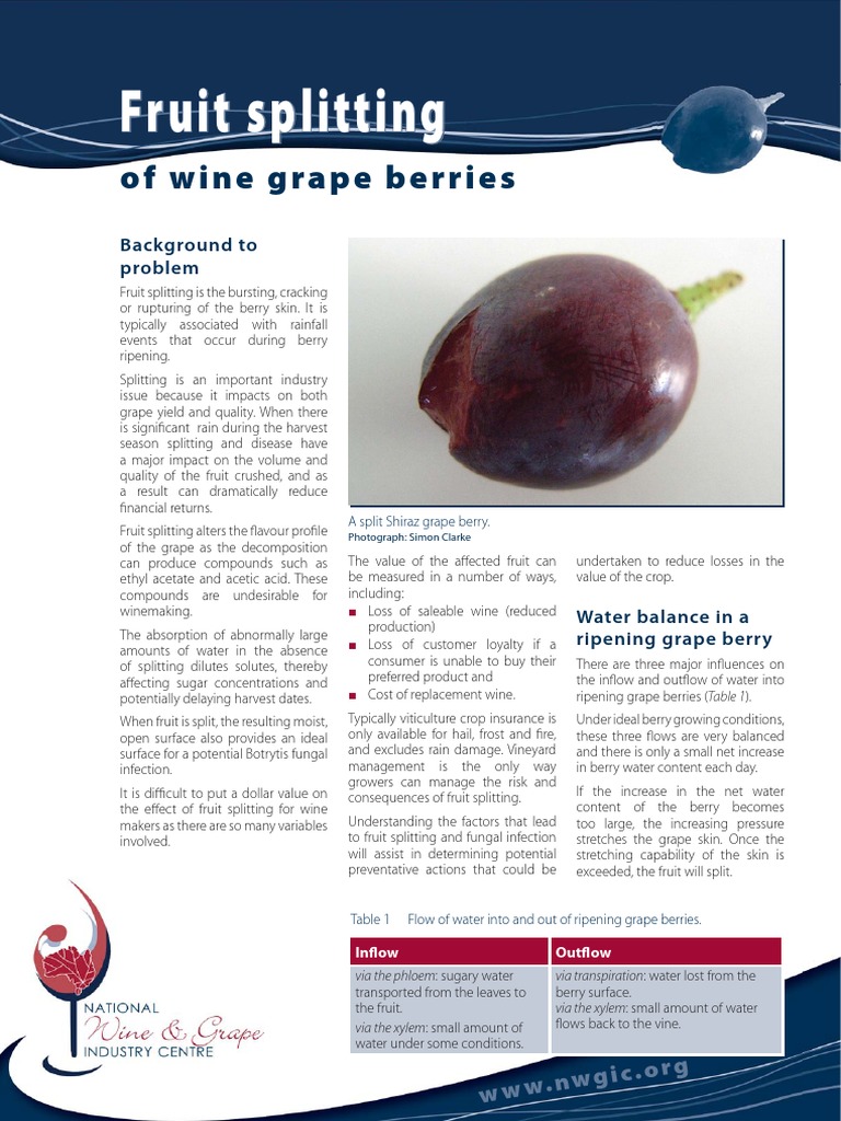 NWGIC Fs1 Fruit Splitting | PDF | Viticulture | Grape