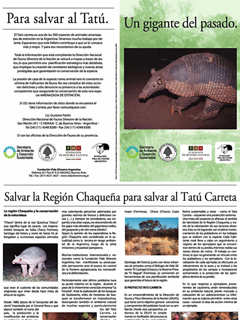 Folleto Tatu Carreta | PDF