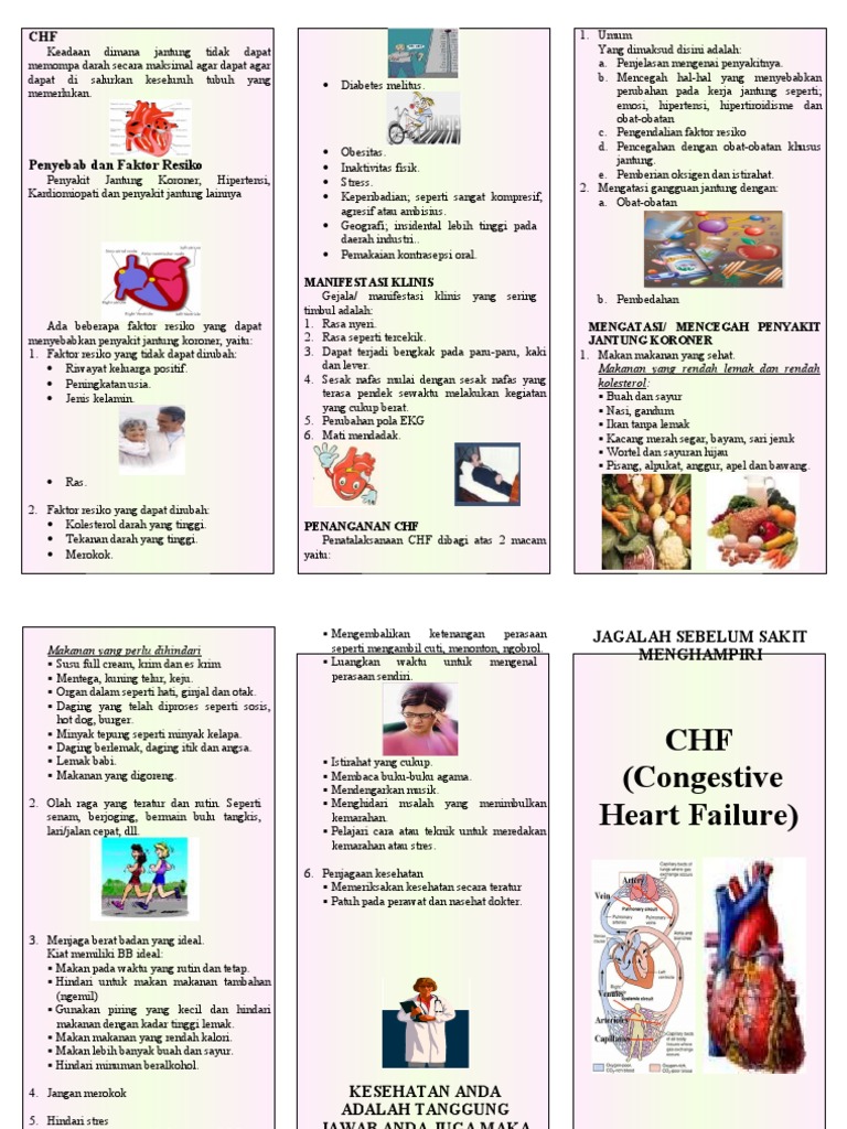 Leaflet CHF | PDF