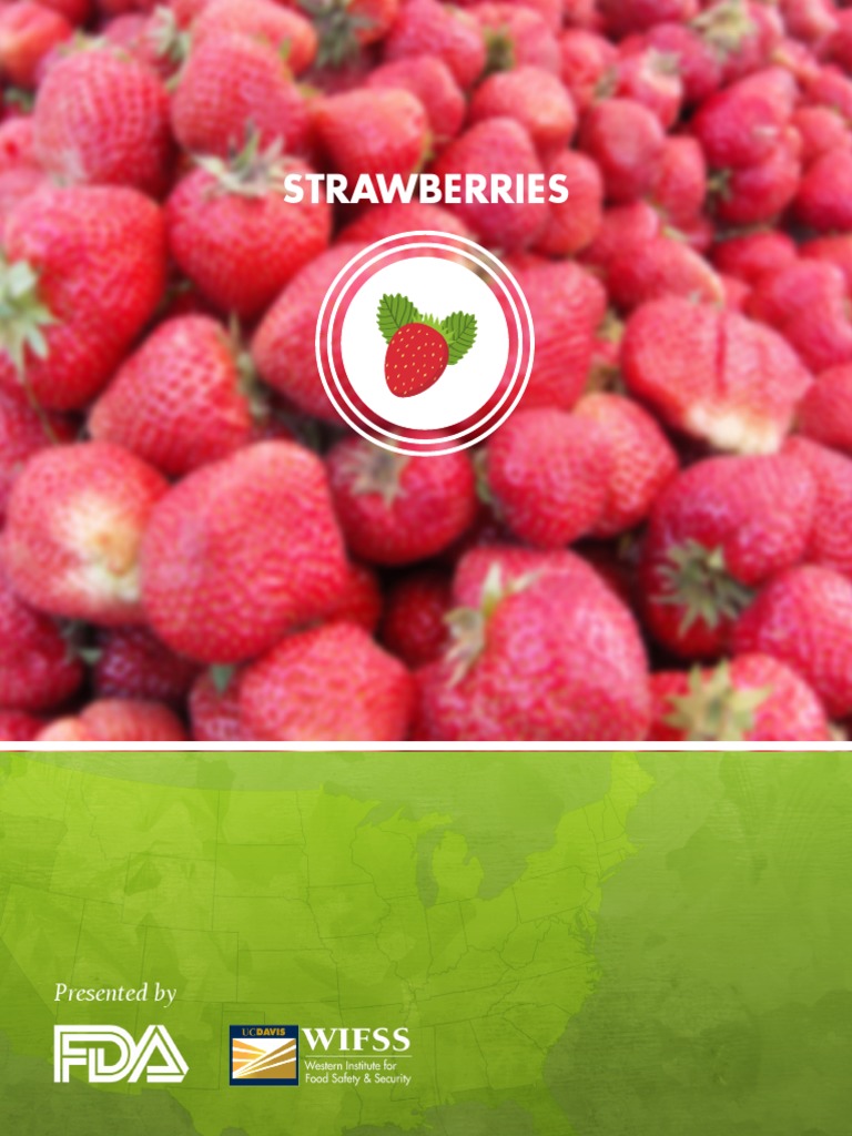 Strawberries PDF | PDF | Strawberry | Berry