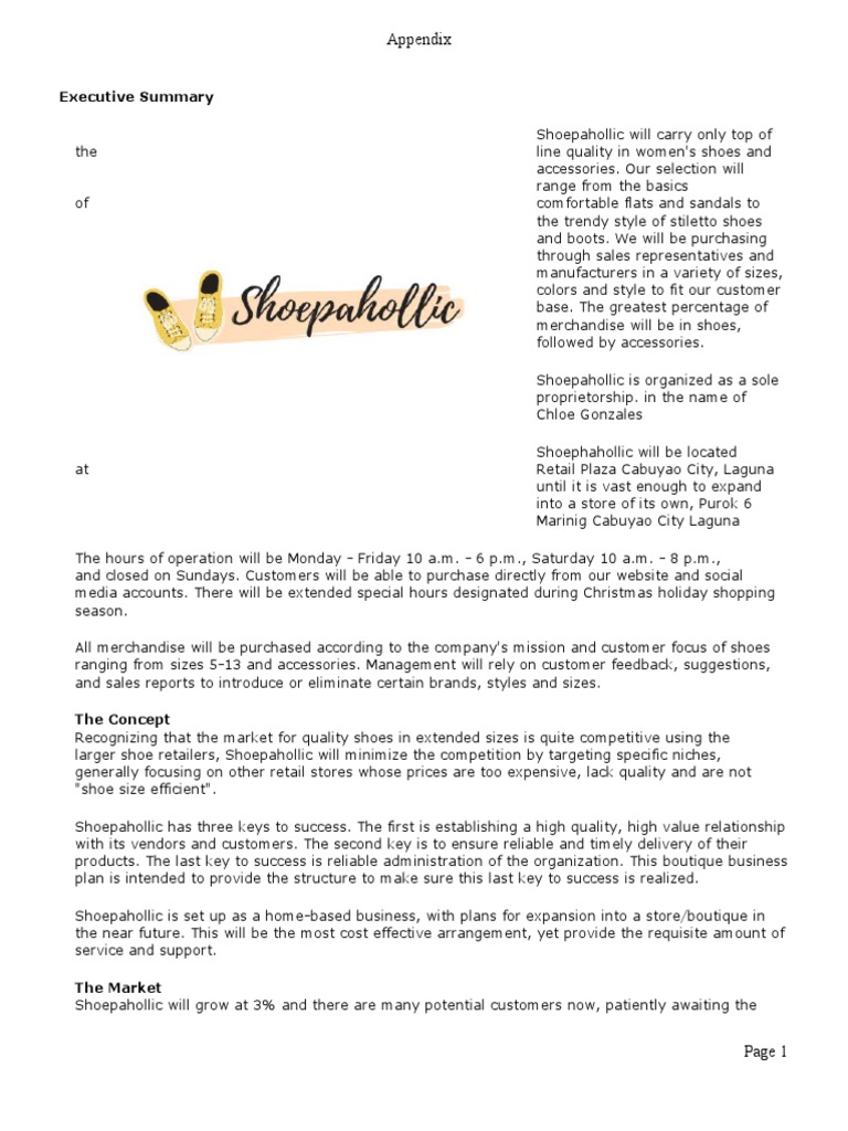 Appendix: Executive Summary | PDF | Balance Sheet | Retail