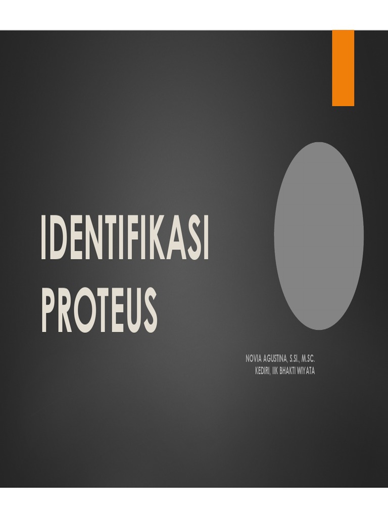 Identifikasi Proteus | PDF | Sains & Matematika