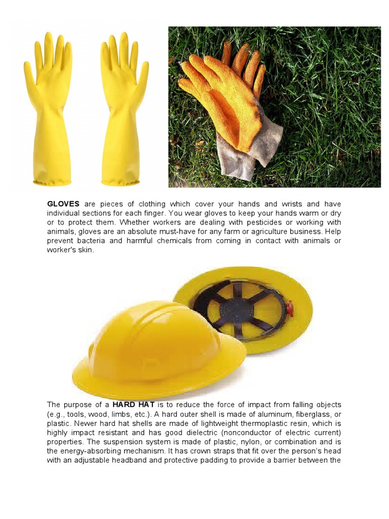 GLOVES Are Pieces of Clothing Which Cover Your Hands and Wrists and ...