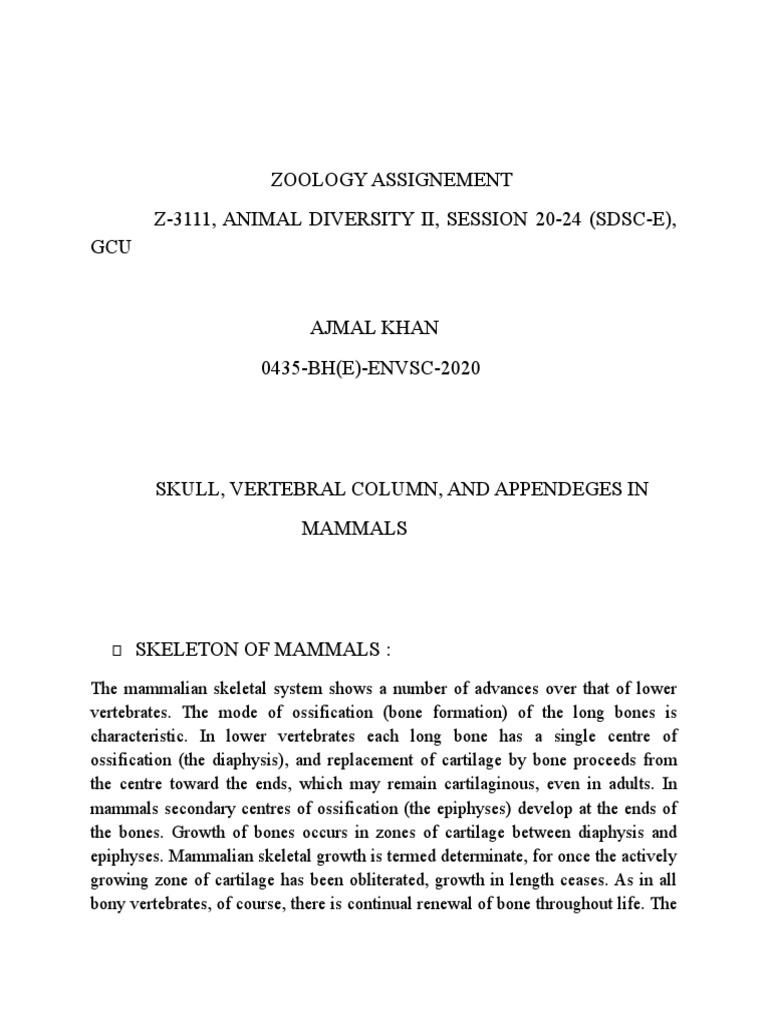 Zoology Assignment | PDF | Skeleton | Bone