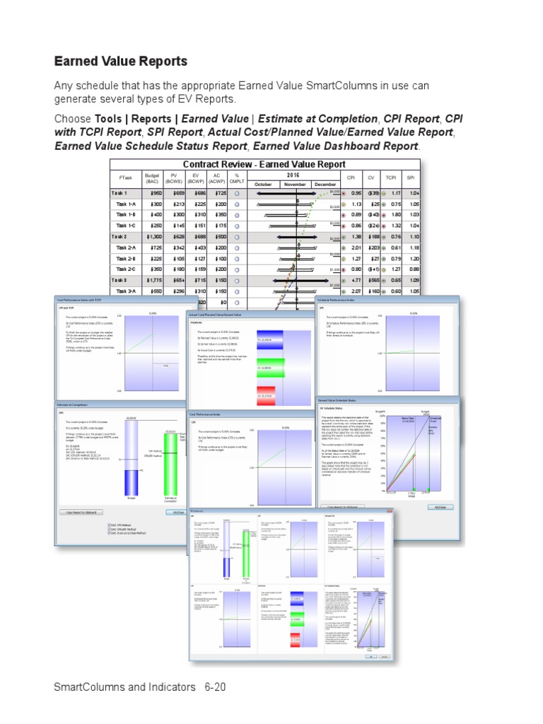 Generate Earned Value Reports | PDF | Project Management | Projects