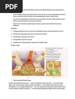 Sinaps Dan Neurotransmitter | PDF