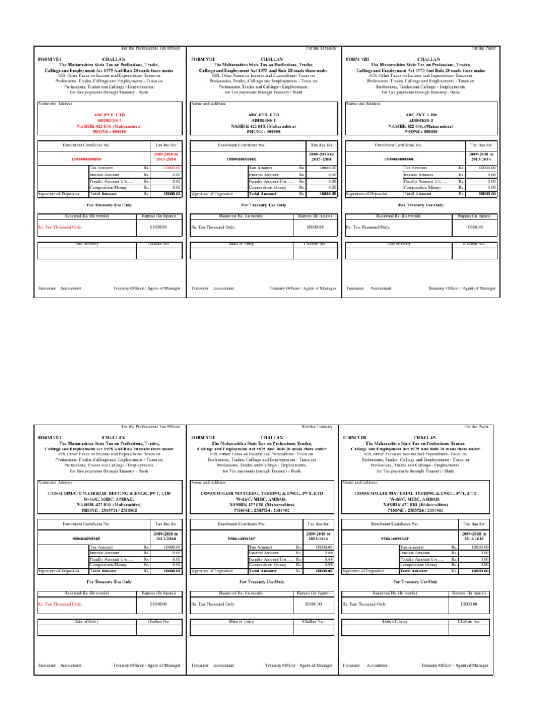 Prof. Tax Challan (Company) | PDF | Taxes | Payments