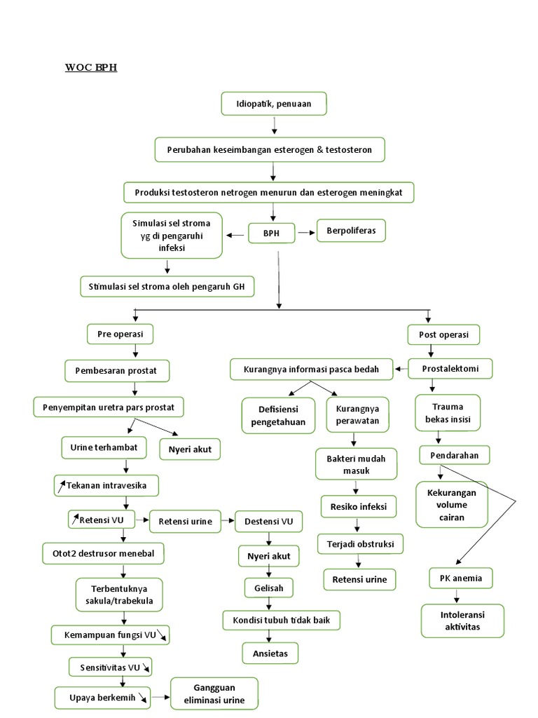 Pathway Gangguan Eliminasi Urine BPH | PDF