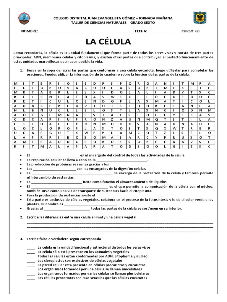 Guia Celula | PDF | Biología Celular) | Plantas