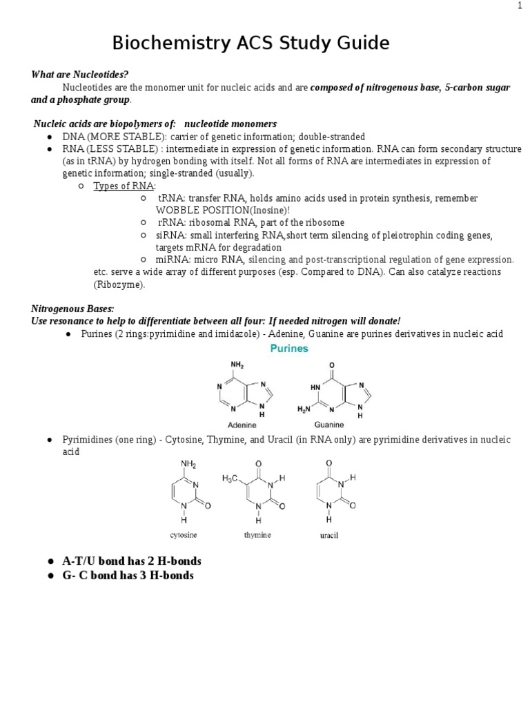 Biochemistry ACS Study Guide | PDF | Dna Replication | Rna