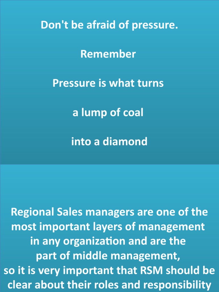 RSM Roles and Responsibilities Overview | PDF | Economies | Business