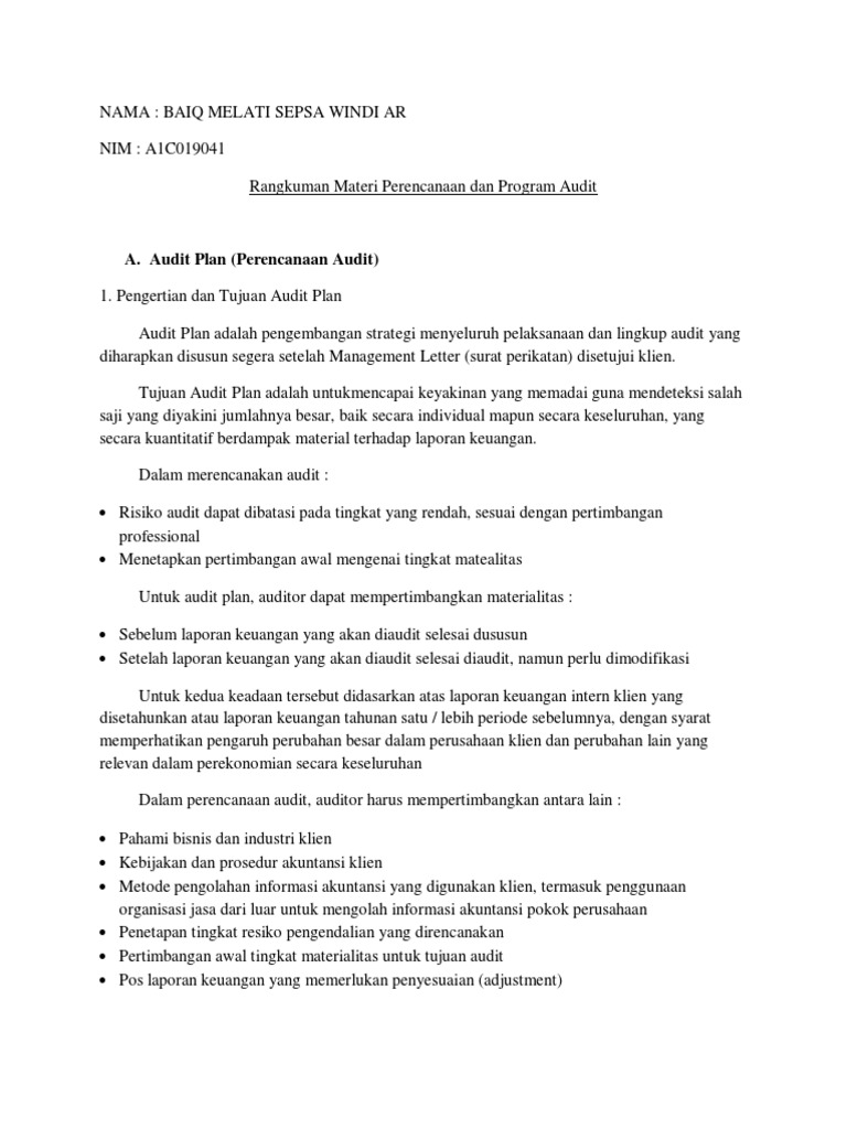 Ringkasan Audit Plan Dan Audit Program | PDF
