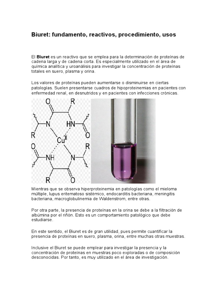 Prueba de Biuret para Identificación de Proteínas | PDF | Potasio ...