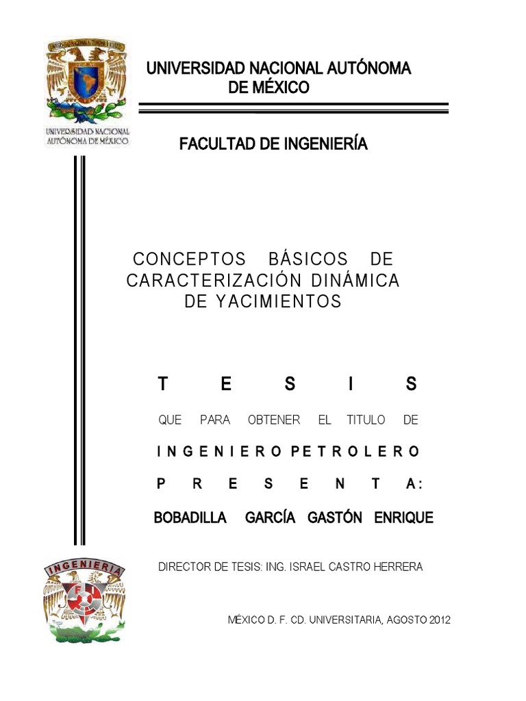 Caracterización Dinámica de Yacimientos | PDF | Simulación | Medición