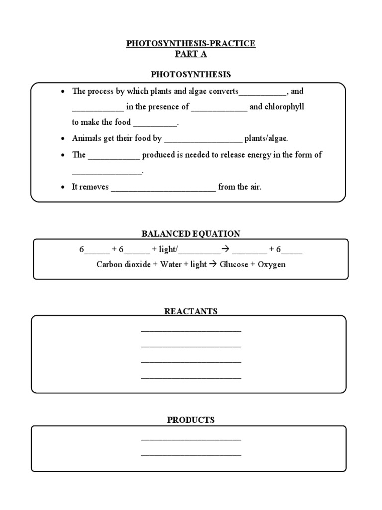 Photosynthesis Practice | PDF | Photosynthesis | Plants