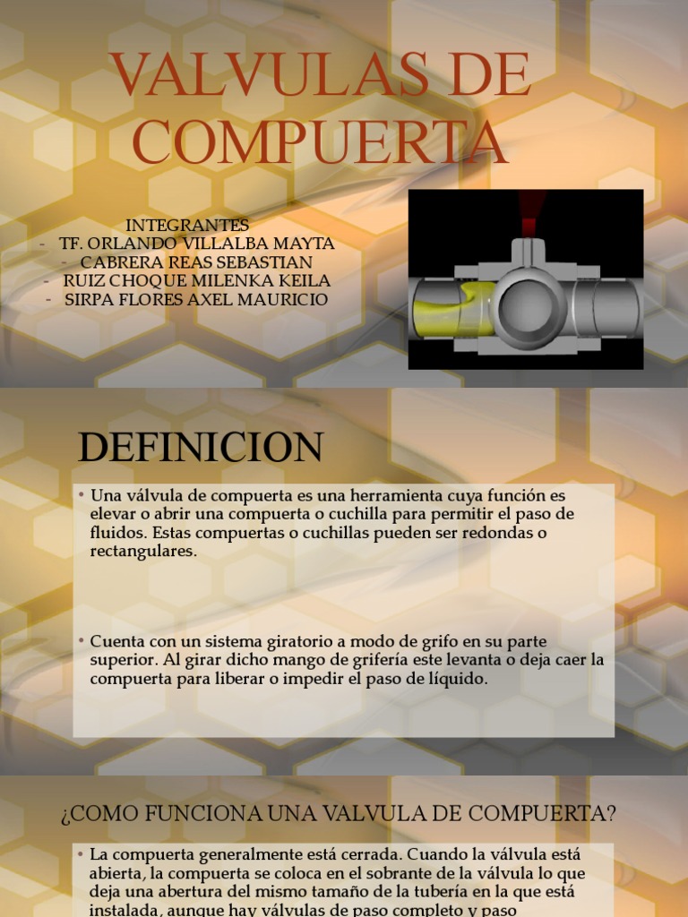 Introducción a las válvulas de compuerta: definición, tipos ...