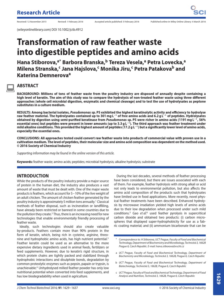 Transformation of Raw Feather Waste | PDF | Proteolysis | Hydrolysis