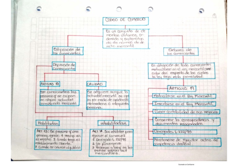 Mapa Conceptual Libro Primero Titulo I Capitulo I II | PDF