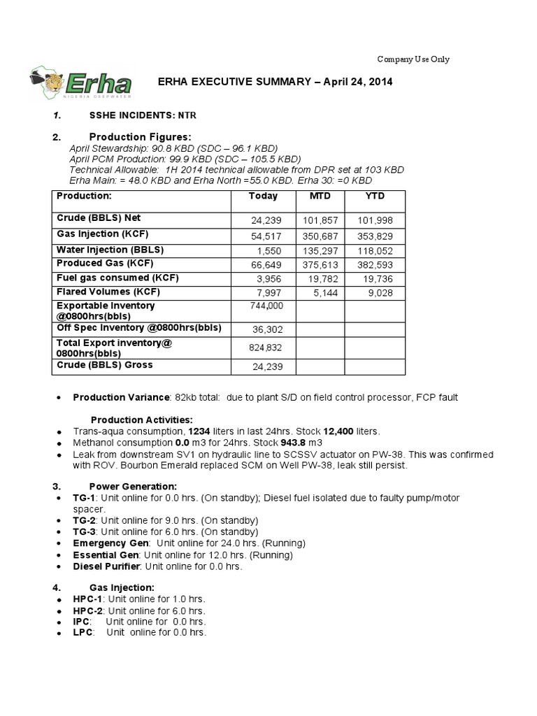 ERHA EXECUTIVE SUMMARY - April 24, 2014 | PDF | Oil | Pump