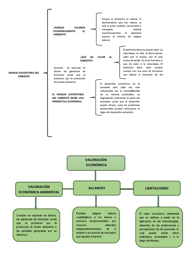 Cuadro Sinoptico, Mapa Conceptual, Triptico | PDF | Entorno natural | Desarrollo sostenible
