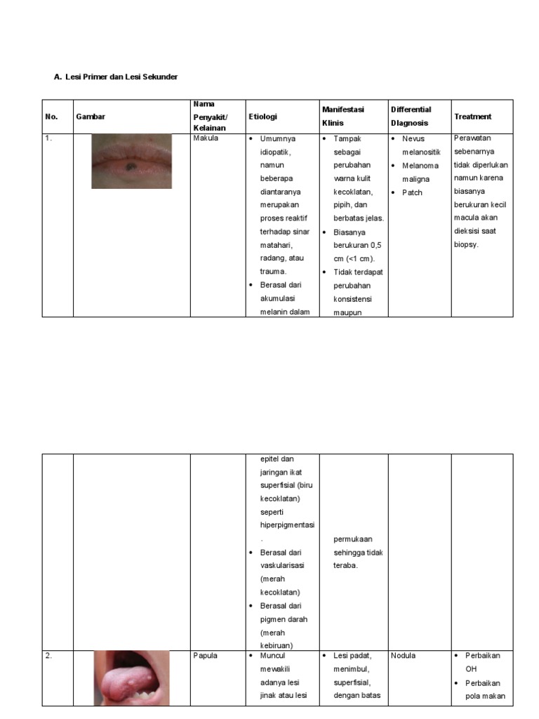Lesi Primer dan Sekunder Kulit | PDF
