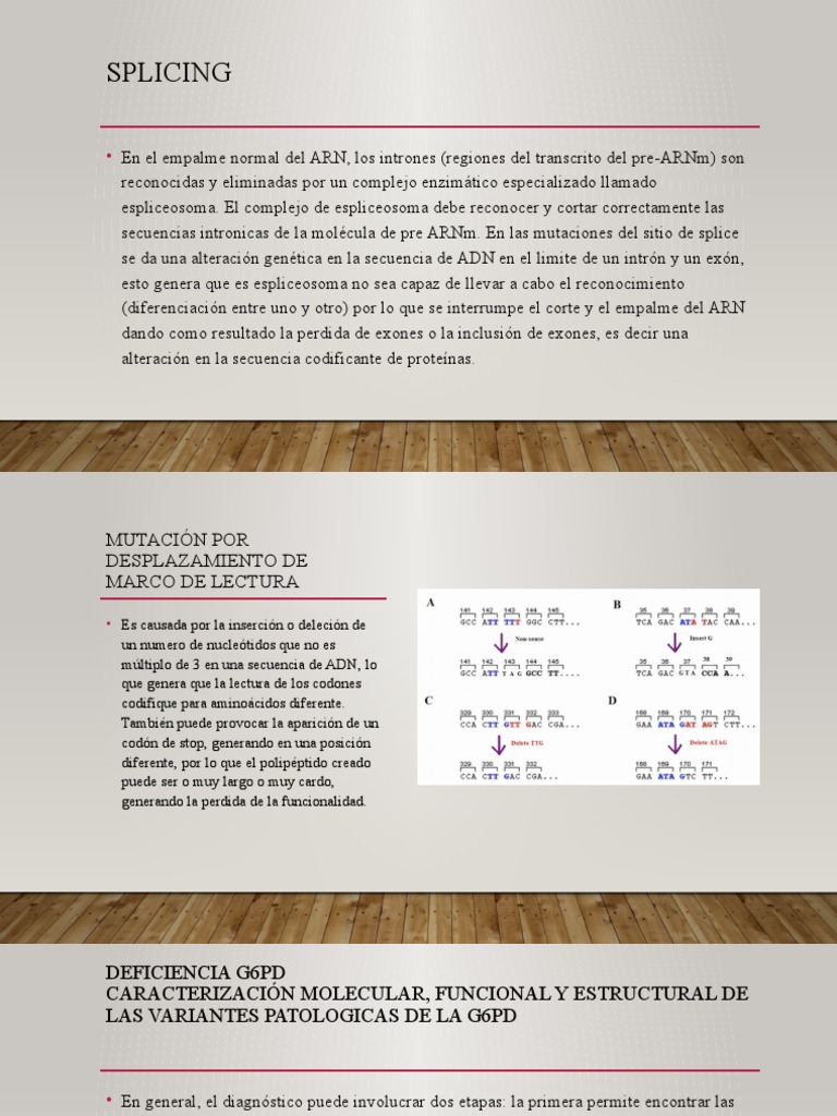 Splicing Presentación 2 | PDF