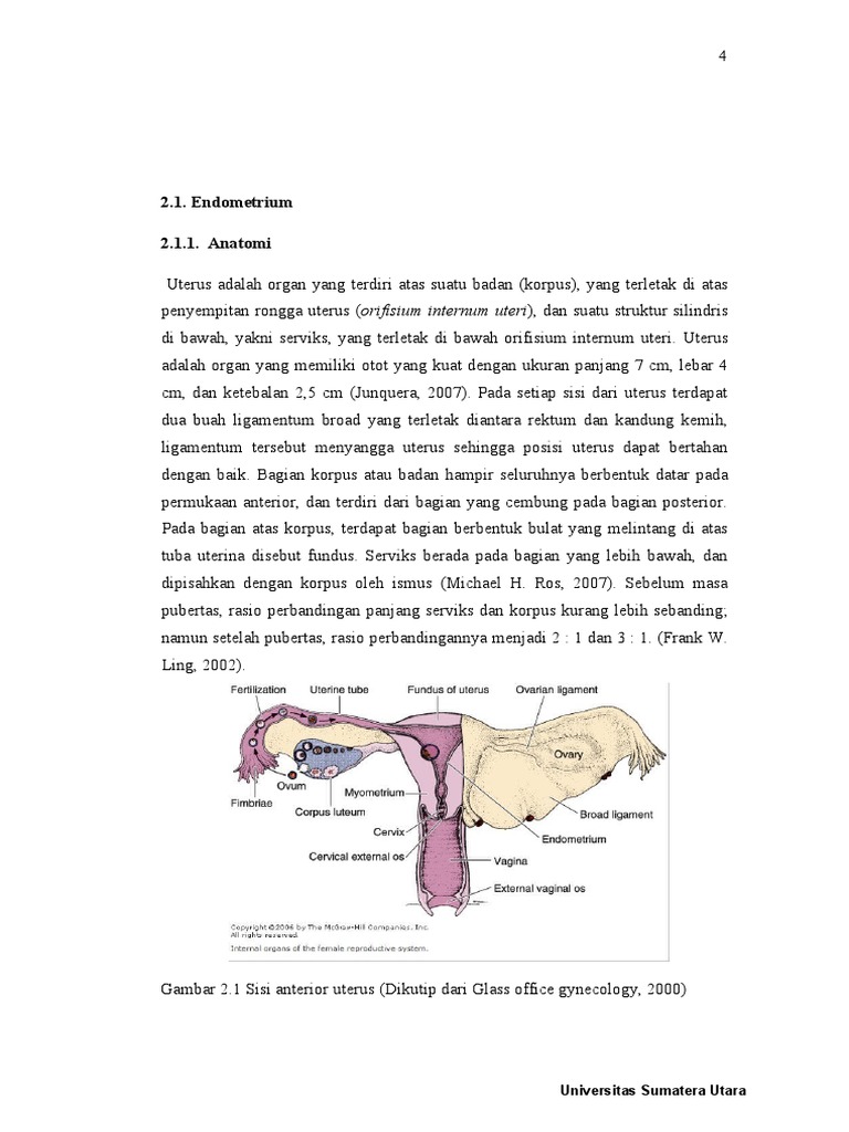 MENERANGKAN STRUKTUR DAN FUNGSI UTERUS | PDF