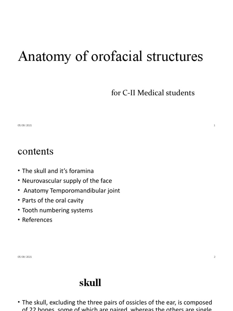 Anatomy of Orofacial Structures: For C-II Medical Students | PDF ...