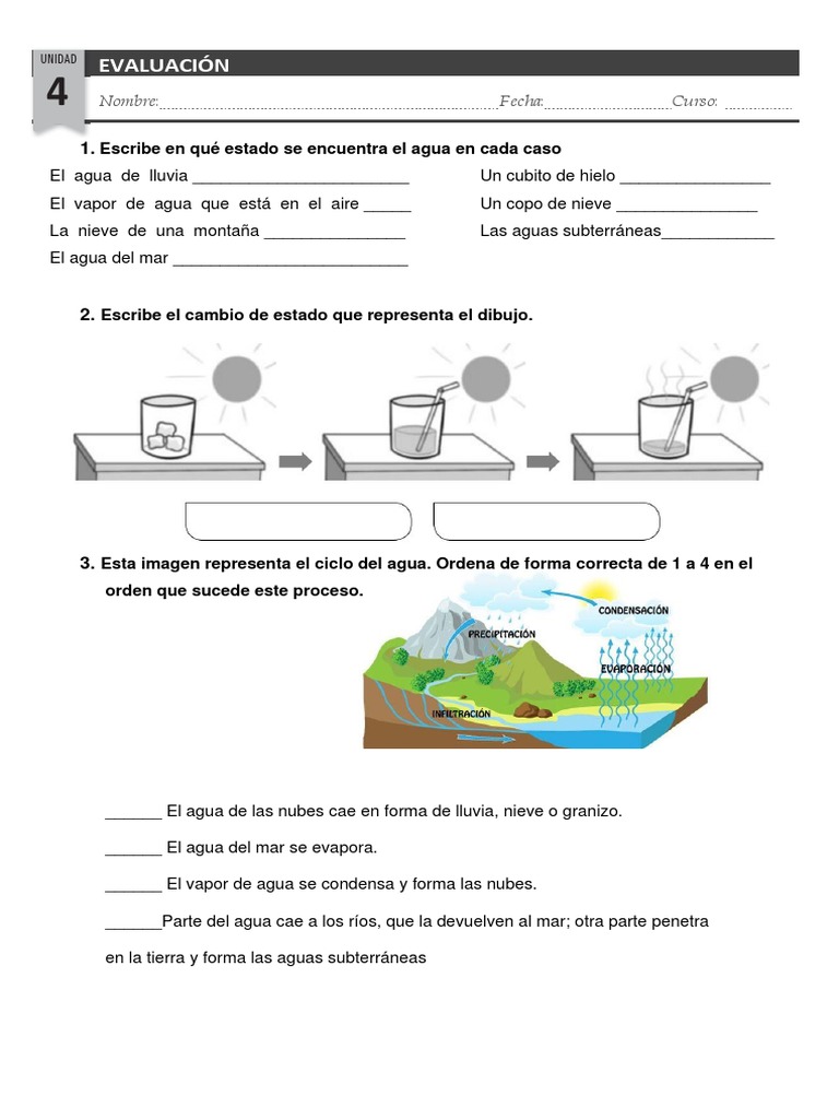 Examen del Ciclo del Agua para Niños | PDF | Río | El ciclo del agua