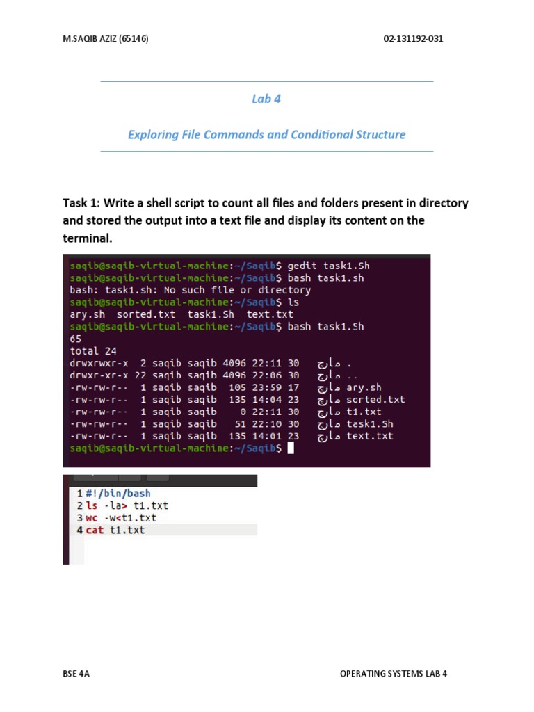 Lab 4 Exploring File Commands And Conditional Structure Pdf 3601