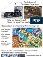 Classification Jeopardy Review | PDF | Scientific Classification | Nature