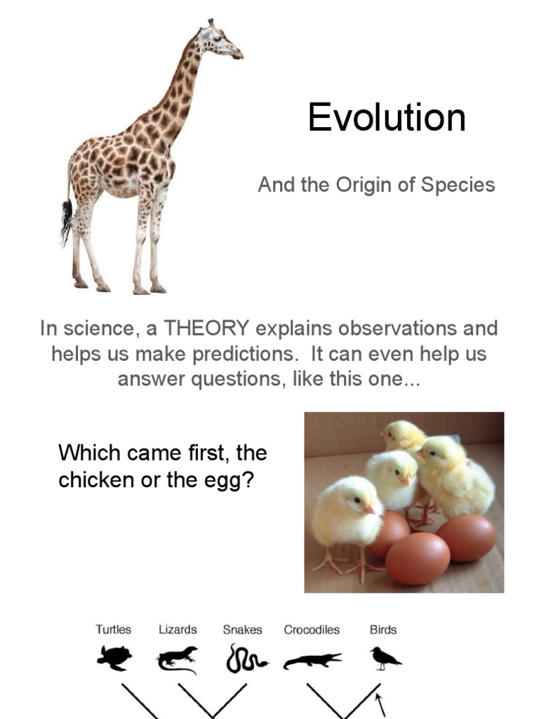 CH 18 - Evolution and The Origin of Species (Openstax) | PDF ...