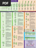 Cuadro Comparativo de Los Diferentes Tipos de Labranzas | PDF | Suelo ...