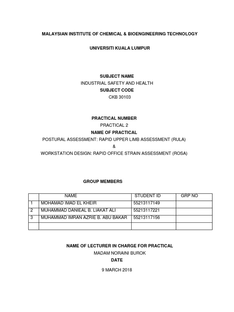 Full Rosa | PDF | Human Factors And Ergonomics | Business