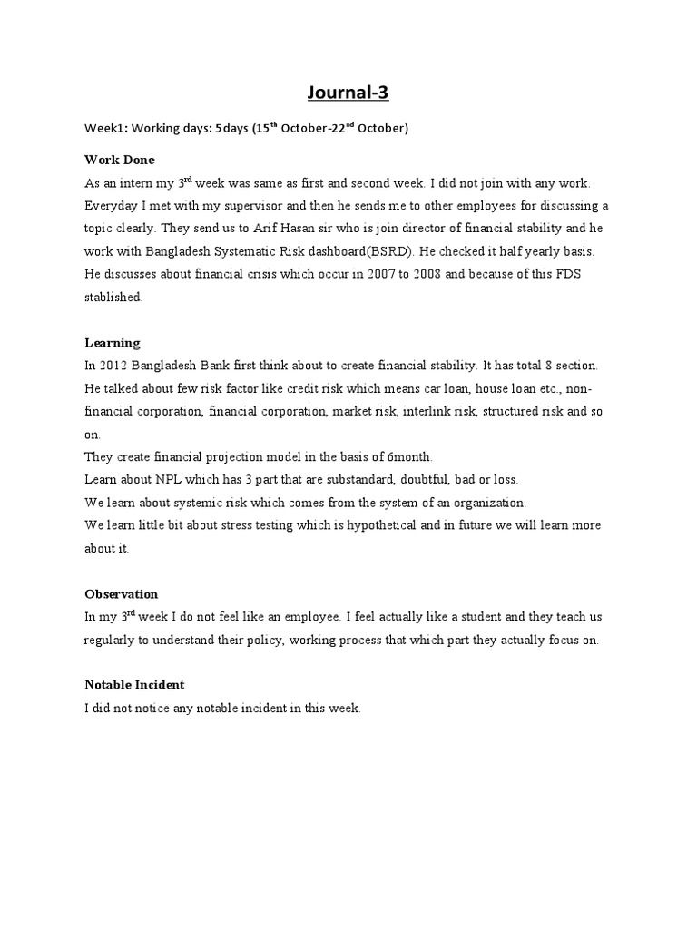 Internship Journal | PDF